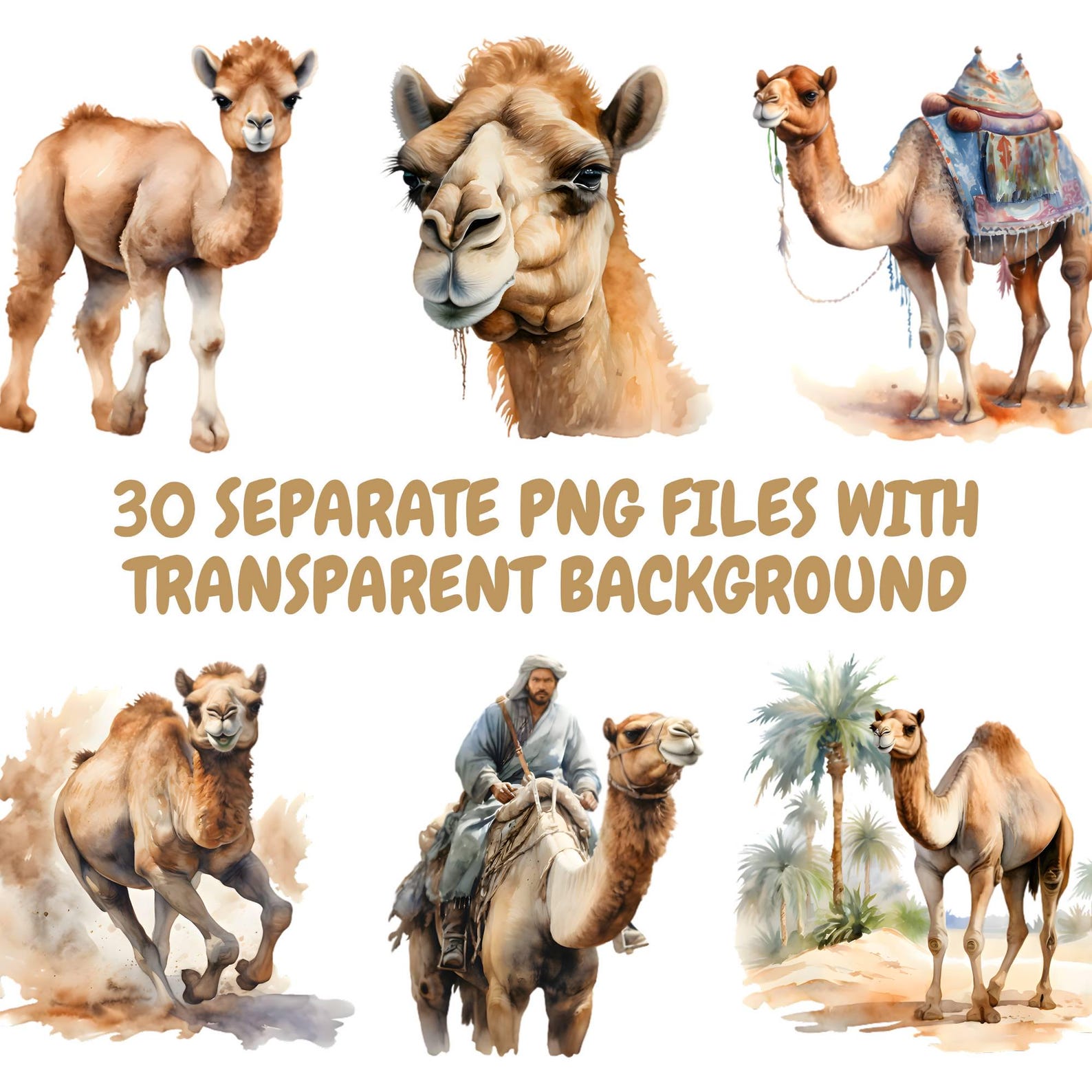 Watercolor Camel Clipart Bundle, Desert Animal Clipart, Camel ...