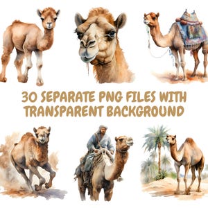 Watercolor Camel Clipart Bundle, Desert Animal Clipart, Camel ...