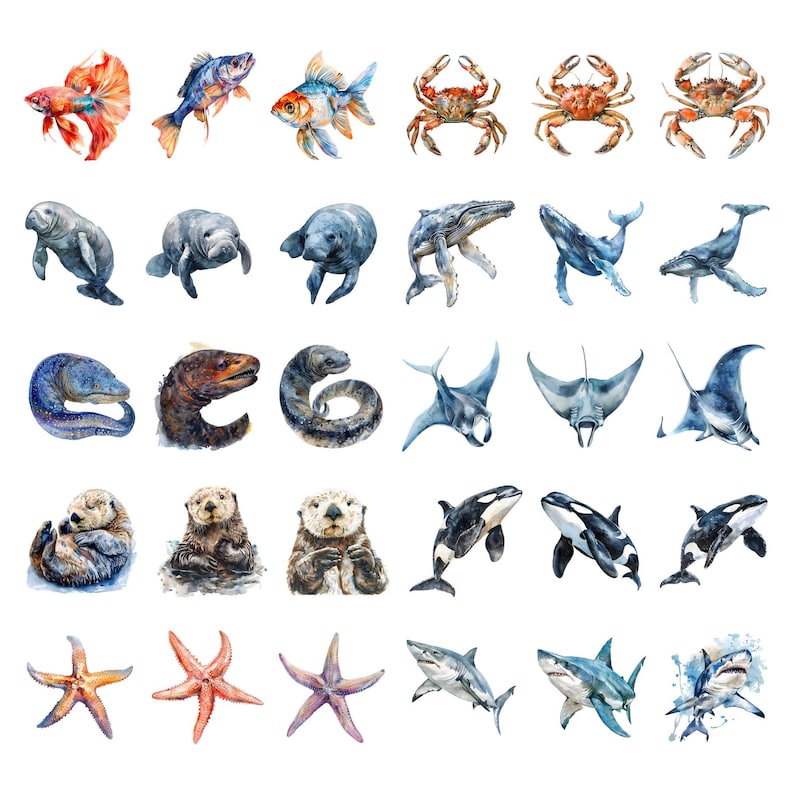 Watercolor Sea Creatures Clipart Bundle, Sea Animals Clipart, Octopus ...