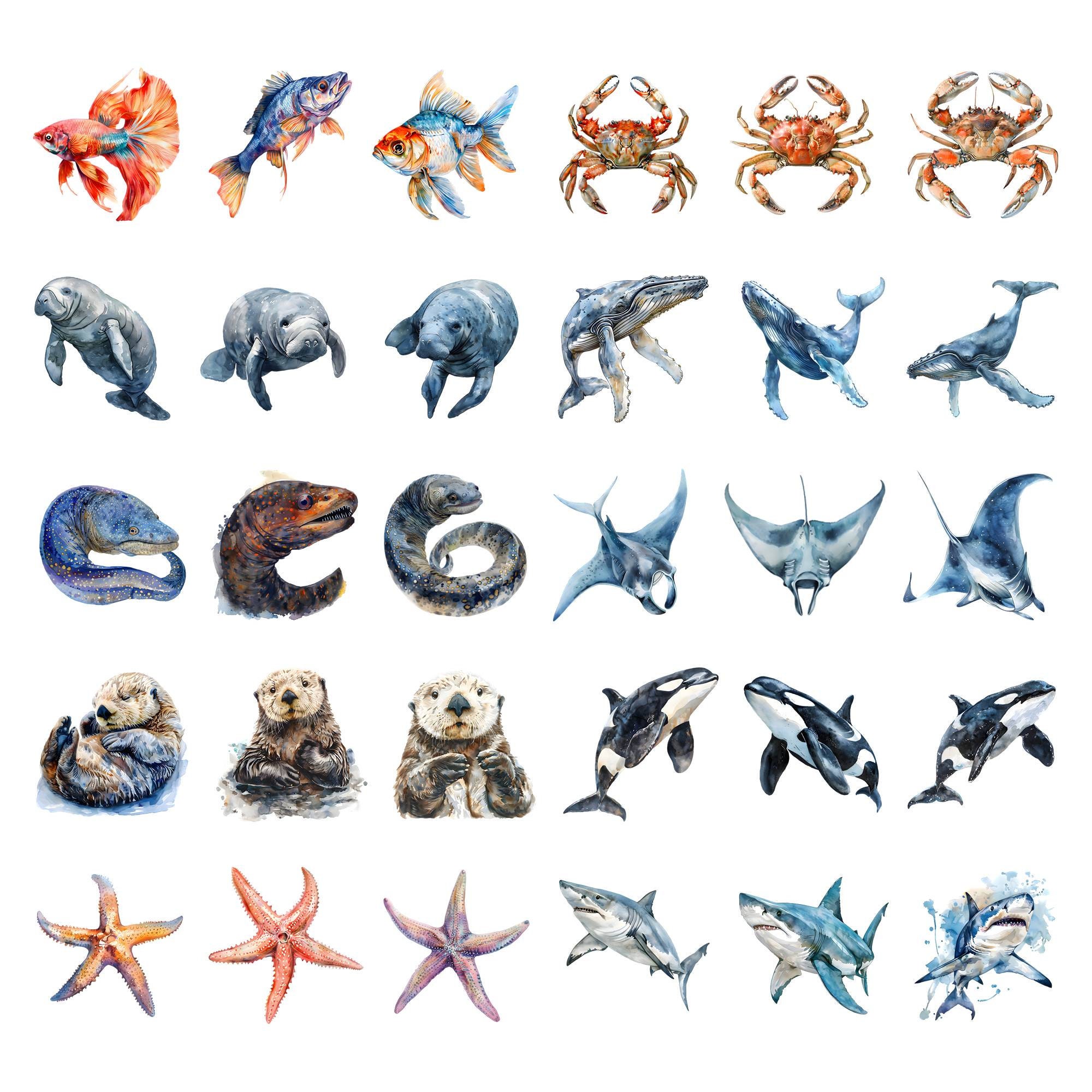 Watercolor Sea Creatures Clipart Bundle, Sea Animals Clipart, Octopus ...