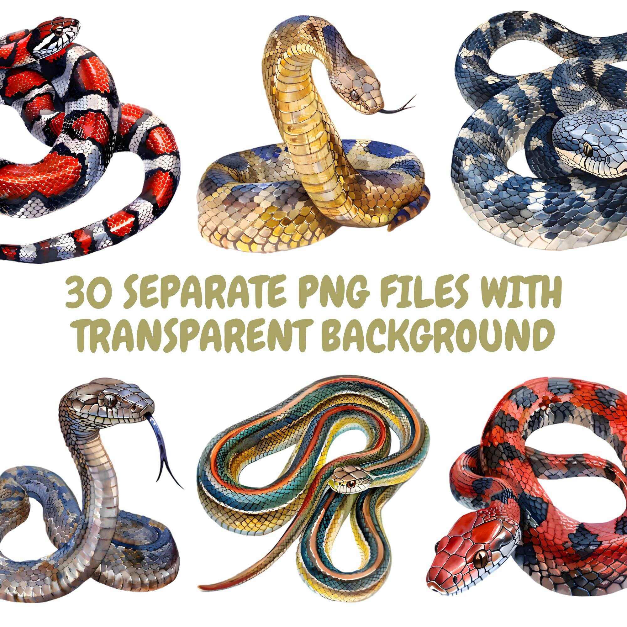 Watercolor Snakes Clipart Bundle, Black Mamba Clipart, Cobra ...