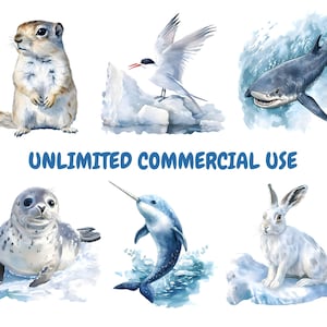 Watercolor Arctic Animals Clipart Bundle, Polar Bear Clipart, Seal ...