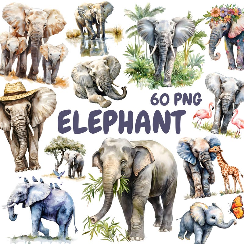 Elephant Watercolor - Etsy
