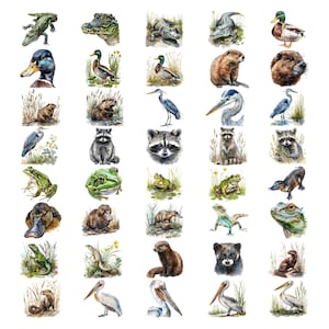Watercolor Wetland Animals Clipart Bundle, Swamp Wildlife Clipart ...
