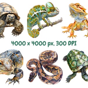 Watercolor Reptiles Clipart Bundle, Exotic Animals Clipart, Lizard ...
