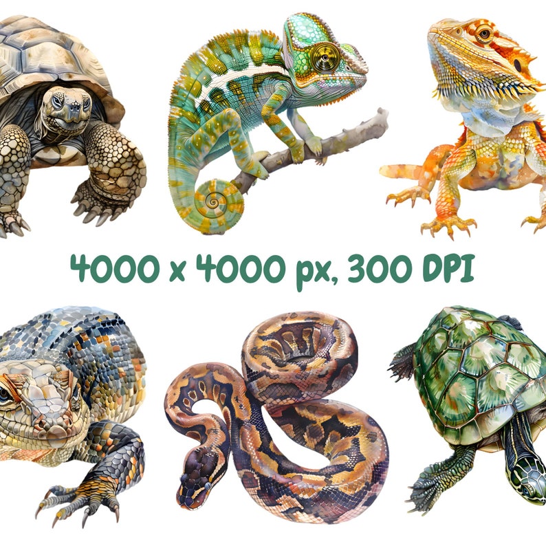 Watercolor Reptiles Clipart Bundle, Exotic Animals Clipart, Lizard ...