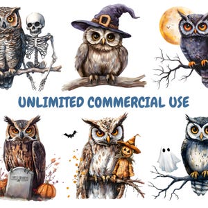 Watercolor Spooky Owls Clipart Bundle, Halloween Owl Clipart, Magic Owl ...