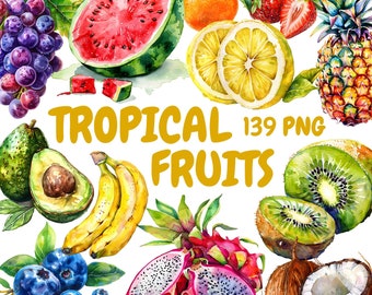 Watercolor Fruits Clipart Bundle: 491 PNG Graphics (digital Download ...
