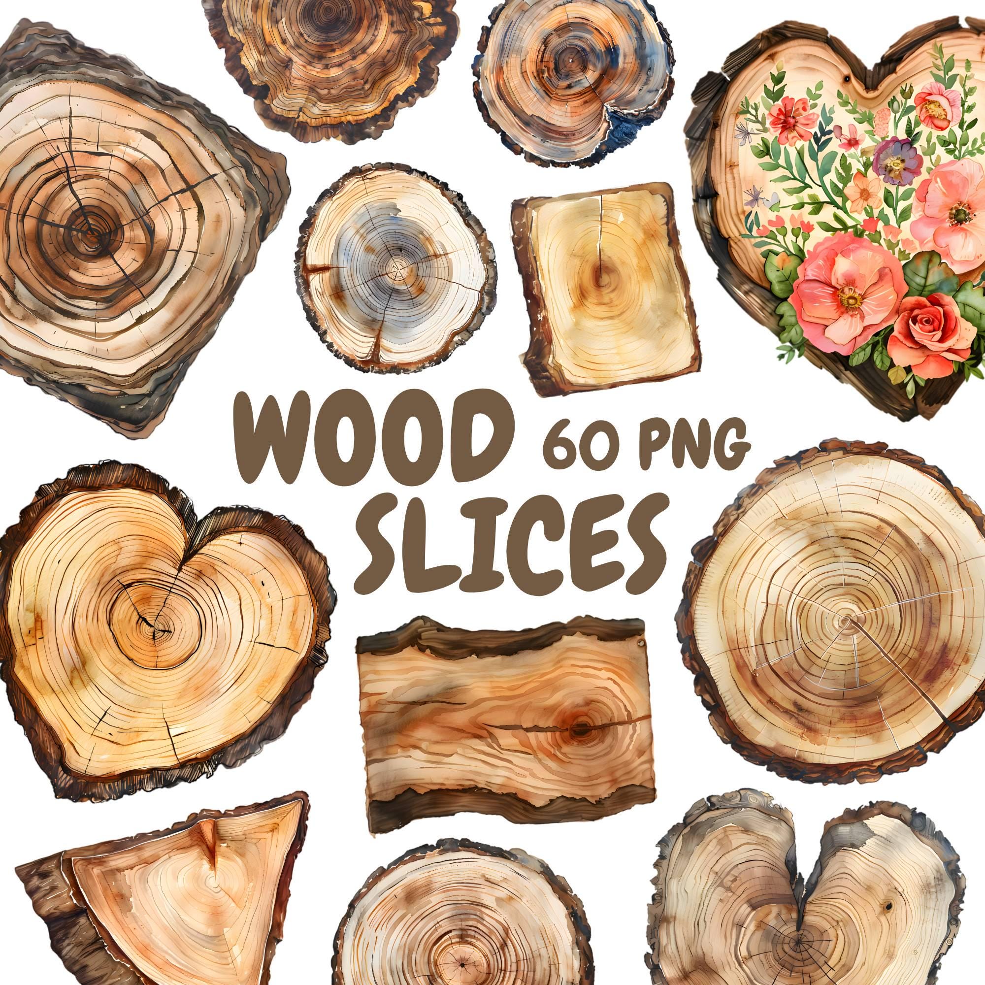 Watercolor Wood Slices Clipart Bundle, Tree Slices Clipart, Forest ...