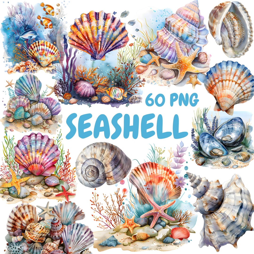 Watercolor Seashell Clipart Bundle, Beach Shell Clipart, Seashells ...