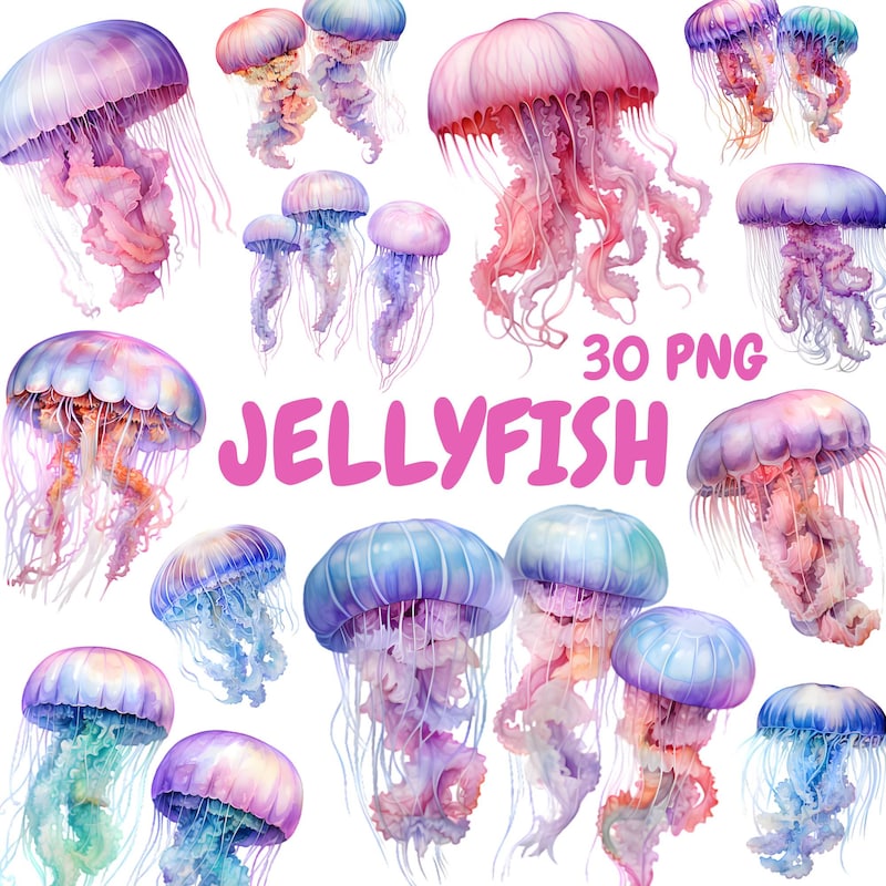 Jellyfish Clipart - Etsy