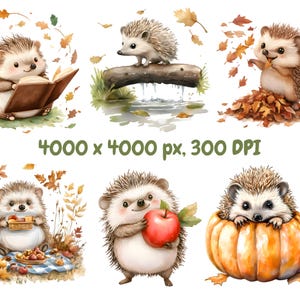 Watercolor Hedgehog Clipart Bundle, Cute Hedgehog Clipart, Hedgehog ...