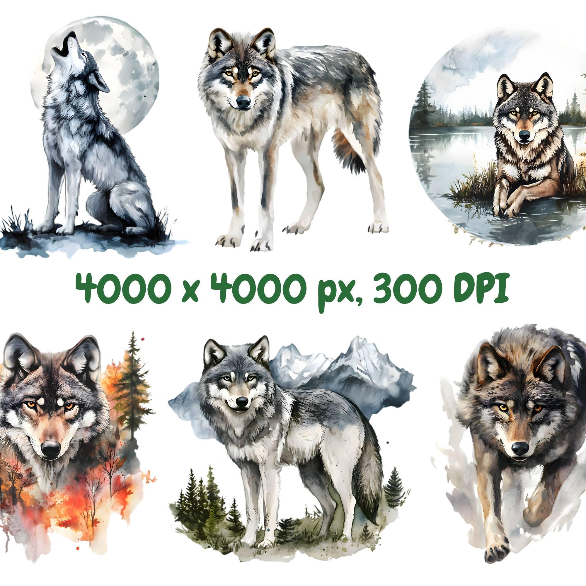 Watercolor Wolves Clipart Bundle, Woodland Animal Clipart, Wolf ...