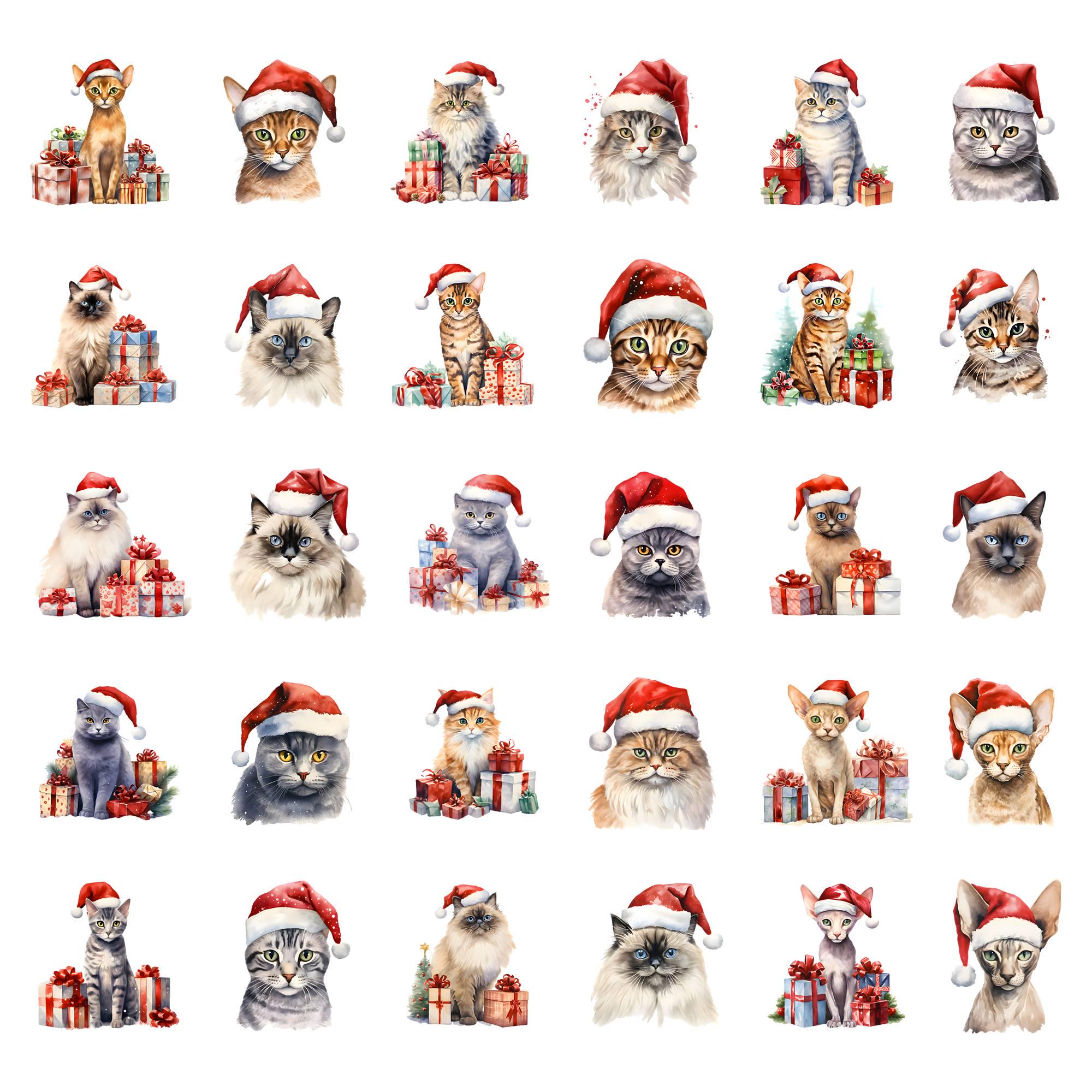 Watercolor Christmas Cats Clipart Bundle, Cat Breeds Clipart, Christmas ...