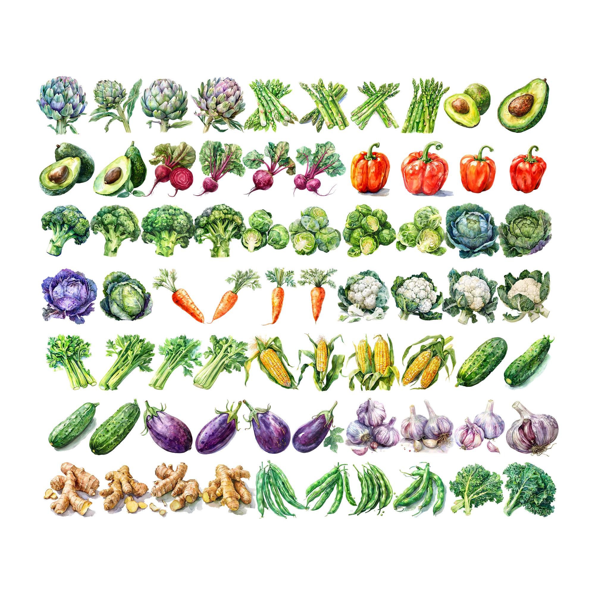 Watercolor Farm Vegetables Clipart Bundle, Farmers Market Clipart ...