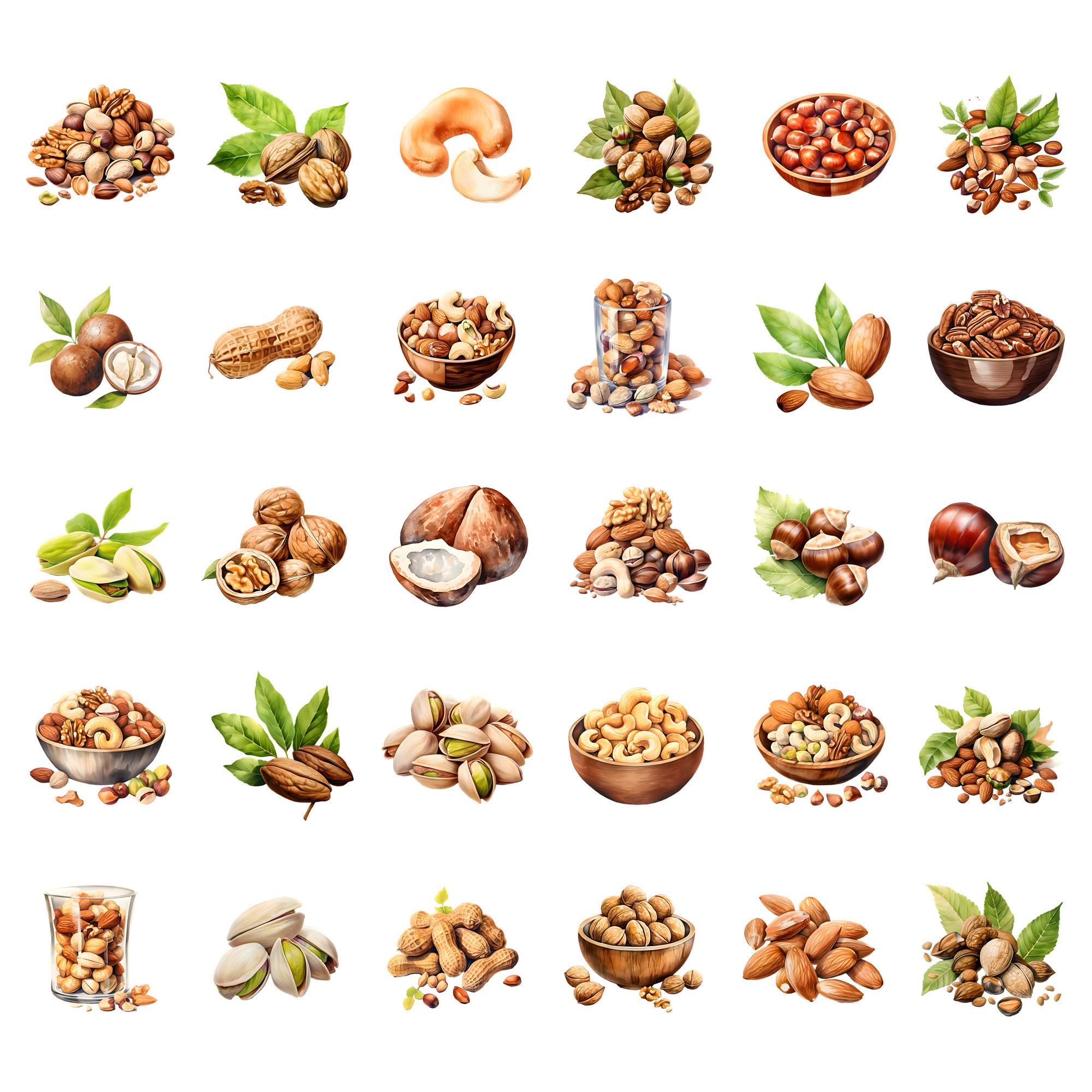 Watercolor Nuts Clipart Bundle, Peanut Walnut Clipart, Almond ...