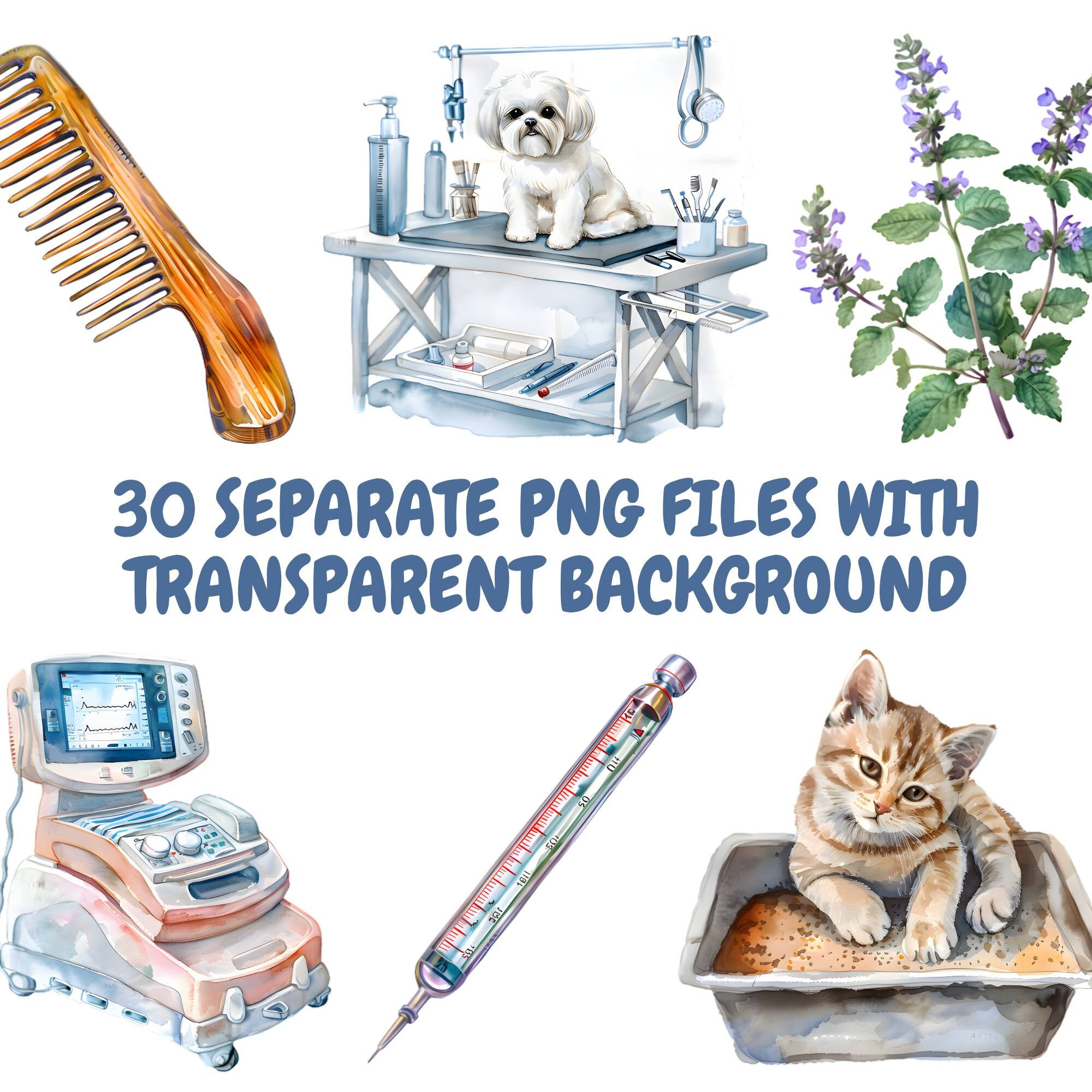 Watercolor Veterinary Clipart Bundle, Animal Hospital Clipart ...