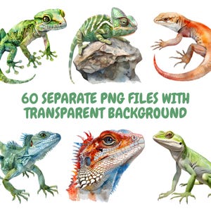 Watercolor Lizards Clipart Bundle, Chameleon Gecko Clipart, Reptile ...