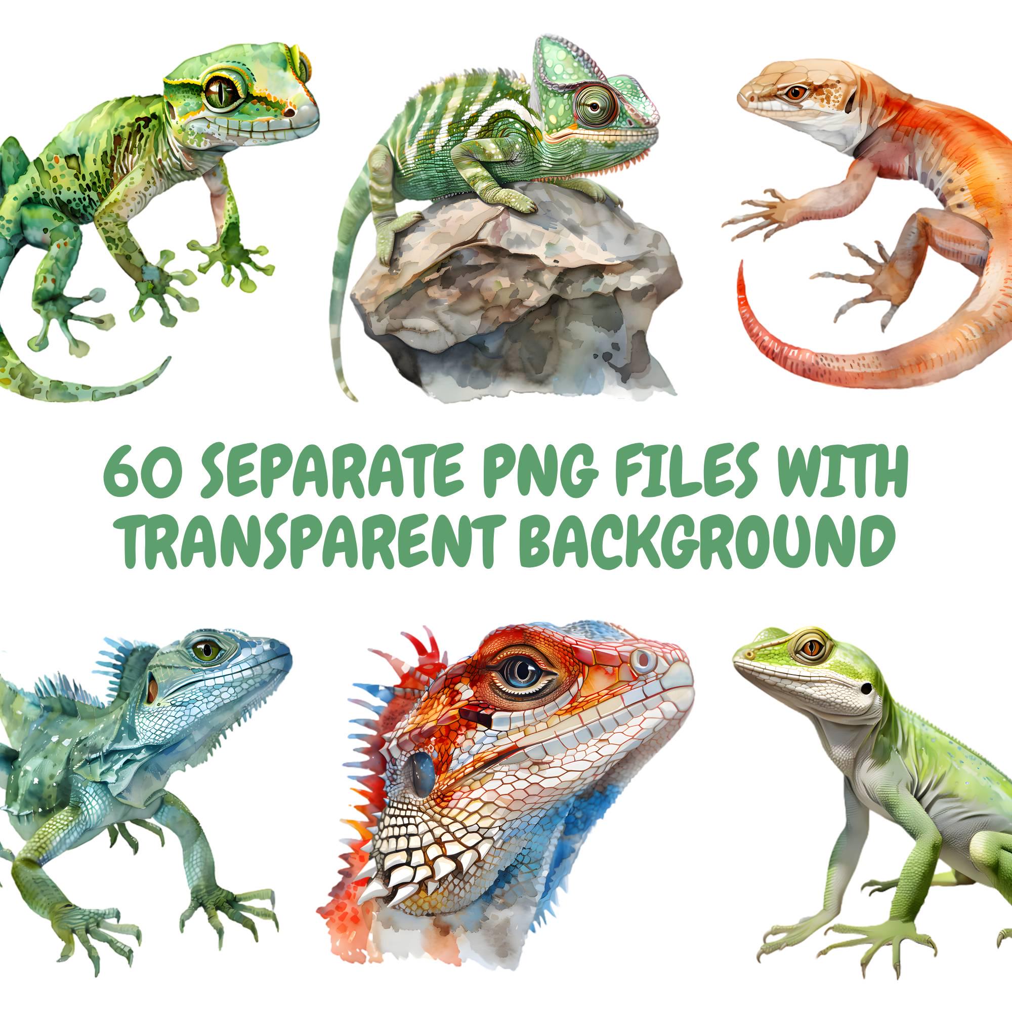 Watercolor Lizards Clipart Bundle, Chameleon Gecko Clipart, Reptile ...