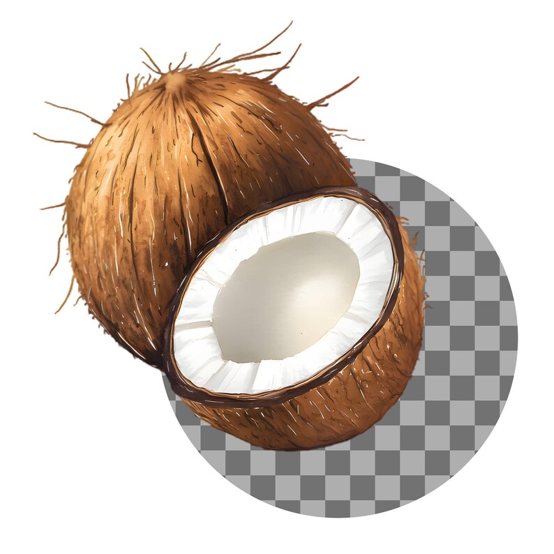 Watercolor Coconut Clipart Bundle, Tropical Fruit Clipart, Coconut ...