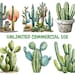 Watercolor Cactus Clipart Bundle, Desert Cactus Clipart, Cacti ...