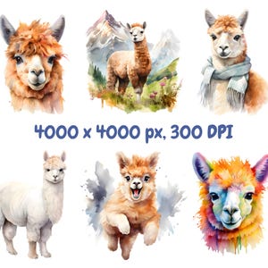 Watercolor Alpaca Clipart Bundle, Cute Llama Clipart, Alpaca ...
