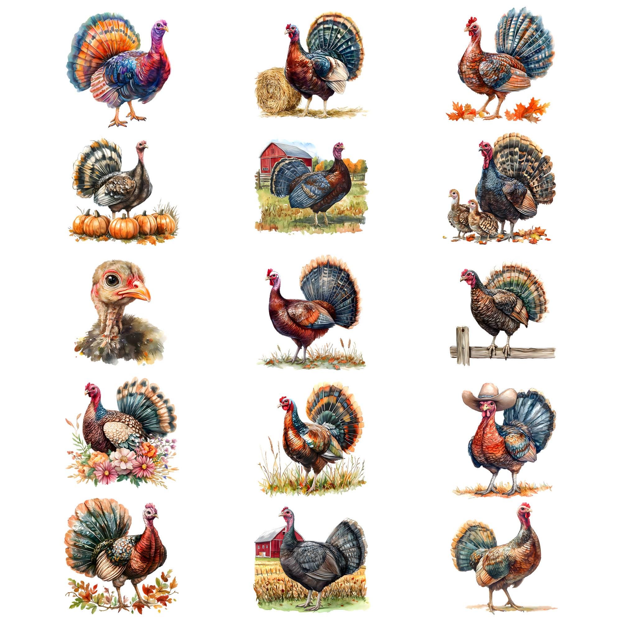 Watercolor Turkey Clipart Bundle, Farm Animal Clipart, Thanksgiving ...