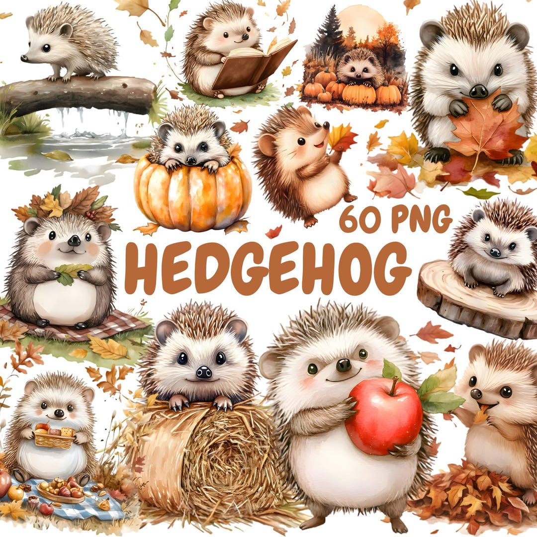 Watercolor Hedgehog Clipart Bundle, Cute Hedgehog Clipart, Hedgehog ...