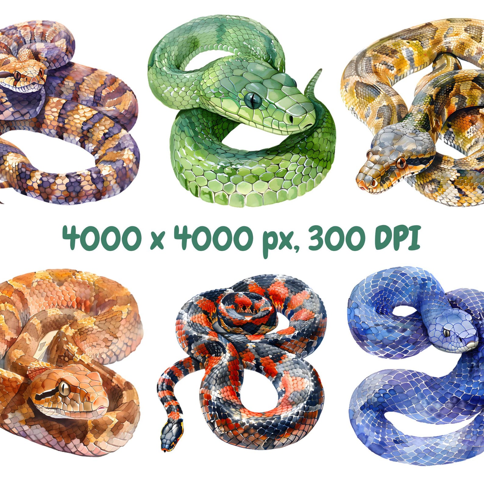 Watercolor Snakes Clipart Bundle, Black Mamba Clipart, Cobra ...