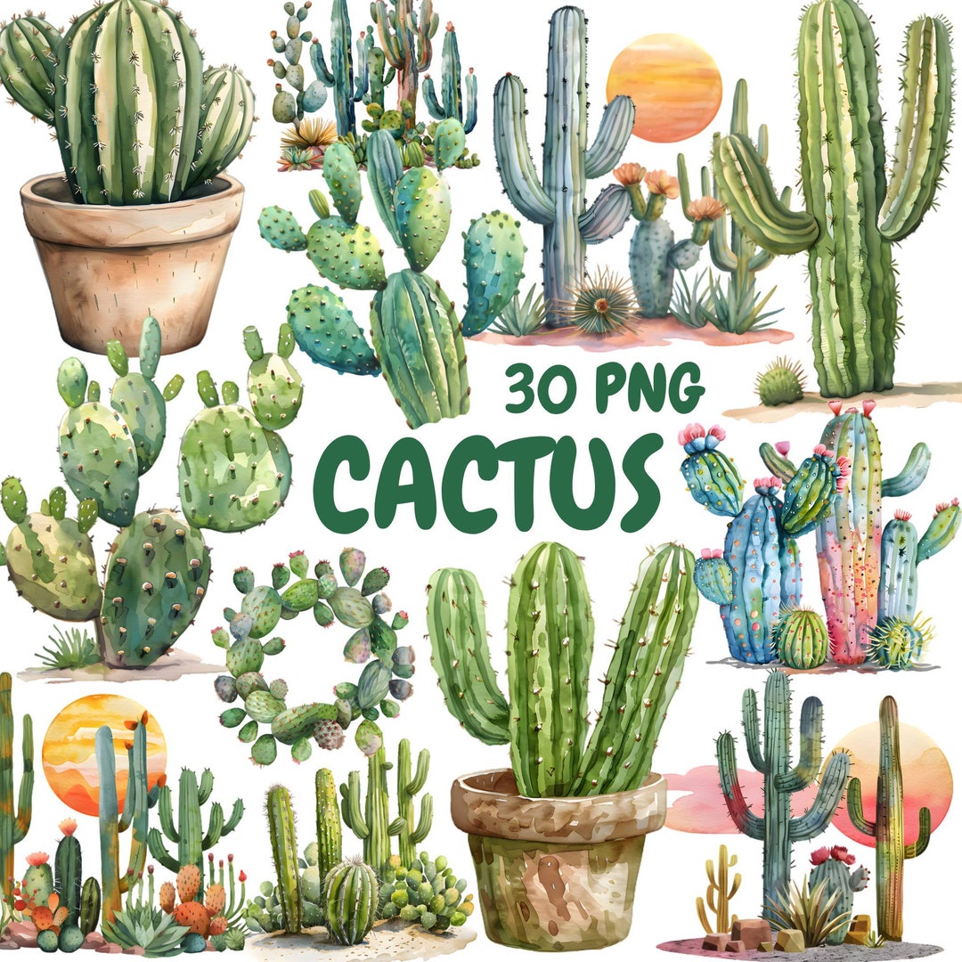Watercolor Cactus Clipart Bundle, Desert Cactus Clipart, Cacti ...
