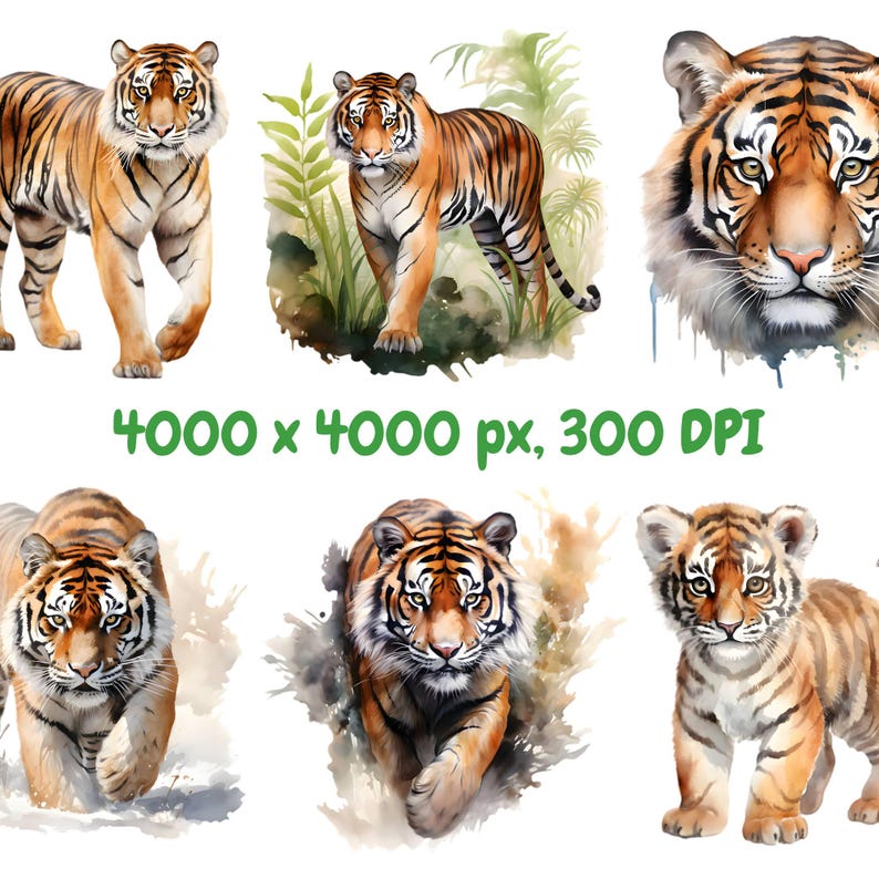 Watercolor Tigers Clipart Bundle, Jungle Animals Clipart, Tiger ...