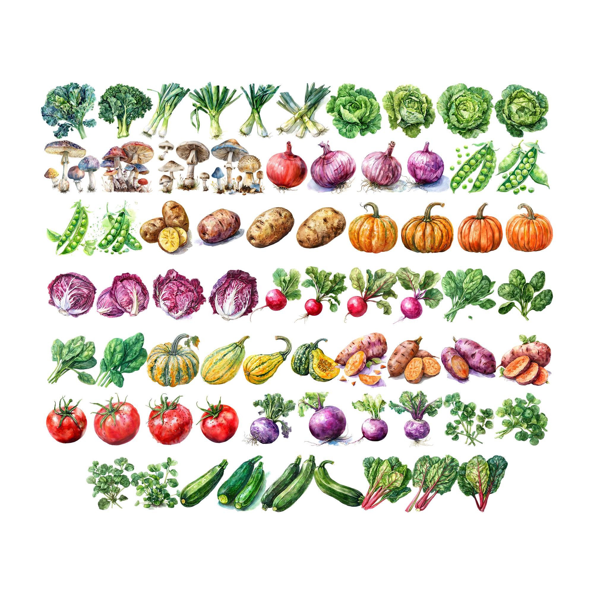 Watercolor Farm Vegetables Clipart Bundle, Farmers Market Clipart ...