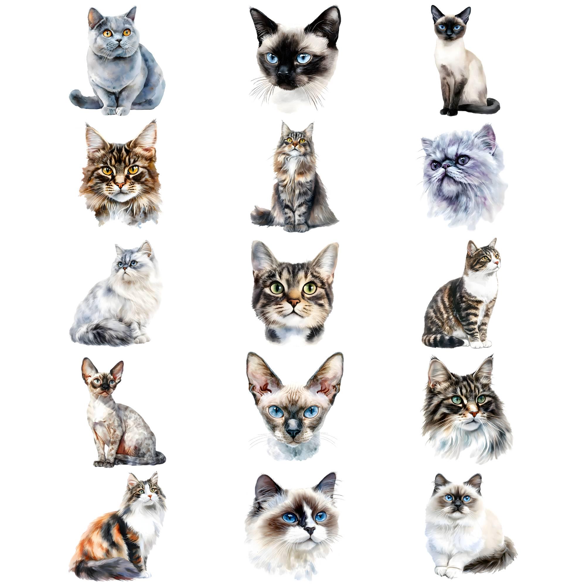 Watercolor Cats Clipart Bundle, Cute Kitten Clipart, Cat Illustrations ...