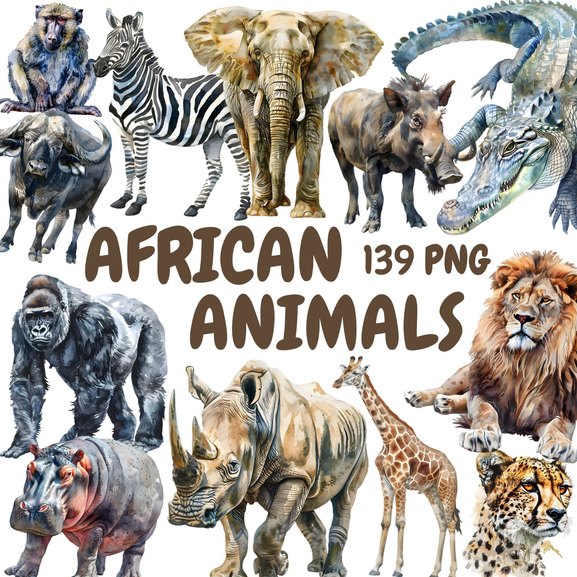 Watercolor African Animals Clipart Bundle, Safari Animals Clipart ...