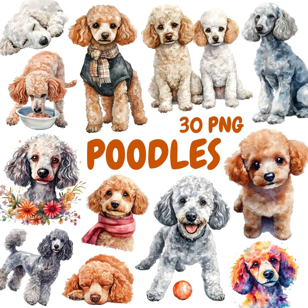 Watercolor Poodles Clipart Bundle, Cute Dog Clipart, Poodle ...