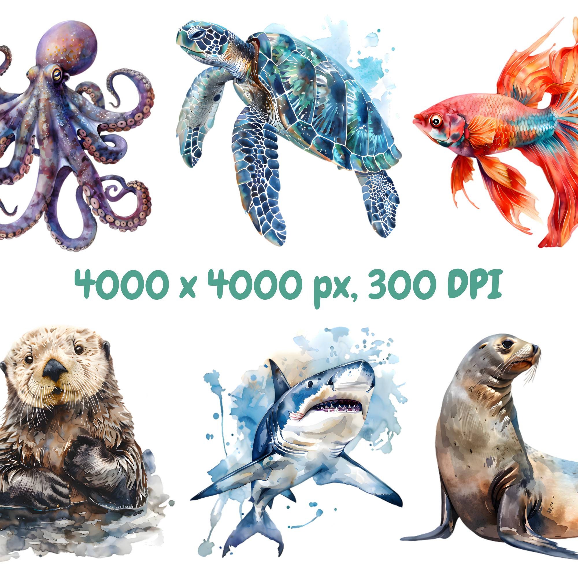 Watercolor Sea Creatures Clipart Bundle, Sea Animals Clipart, Octopus ...