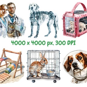Watercolor Veterinary Clipart Bundle, Animal Hospital Clipart ...