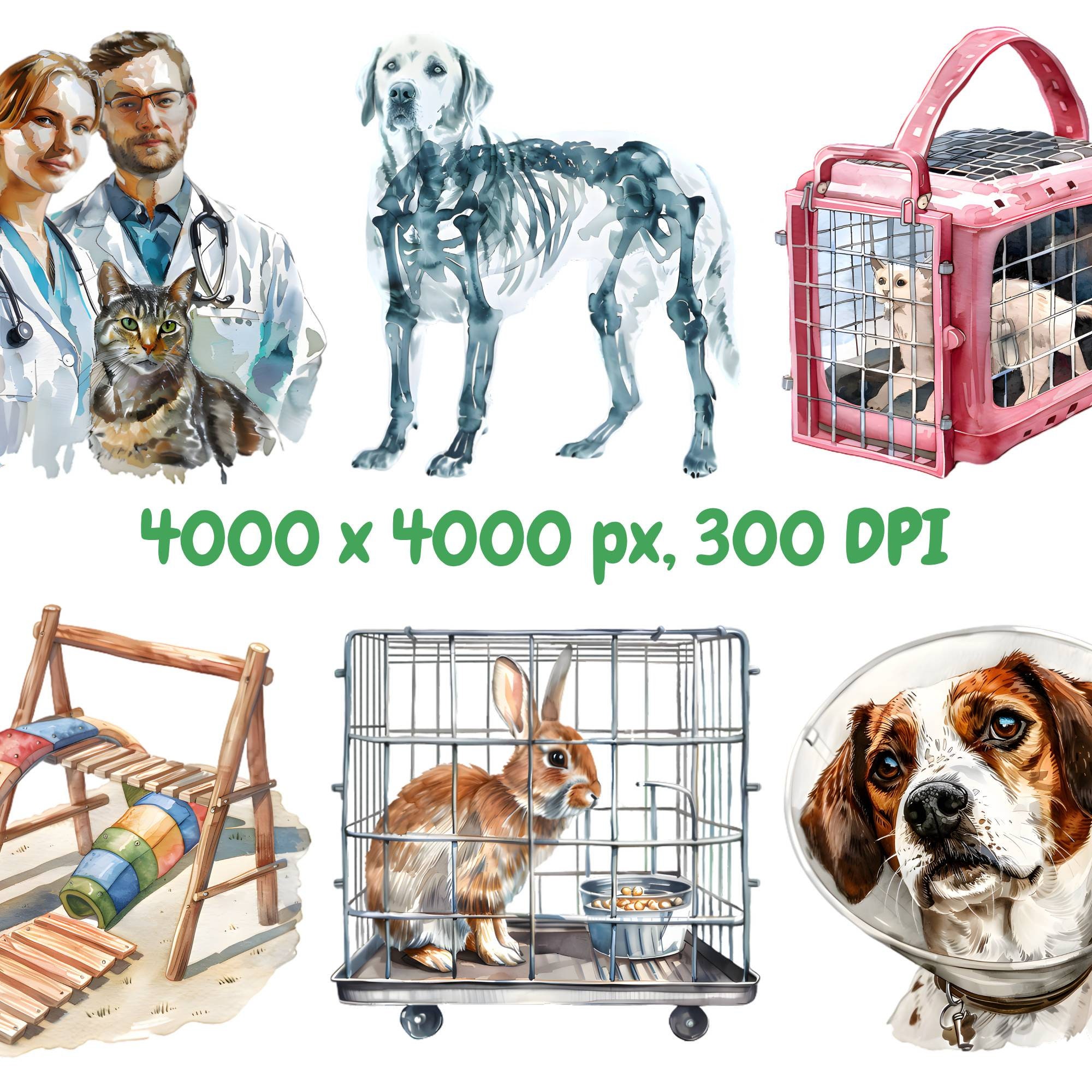 Watercolor Veterinary Clipart Bundle, Animal Hospital Clipart ...