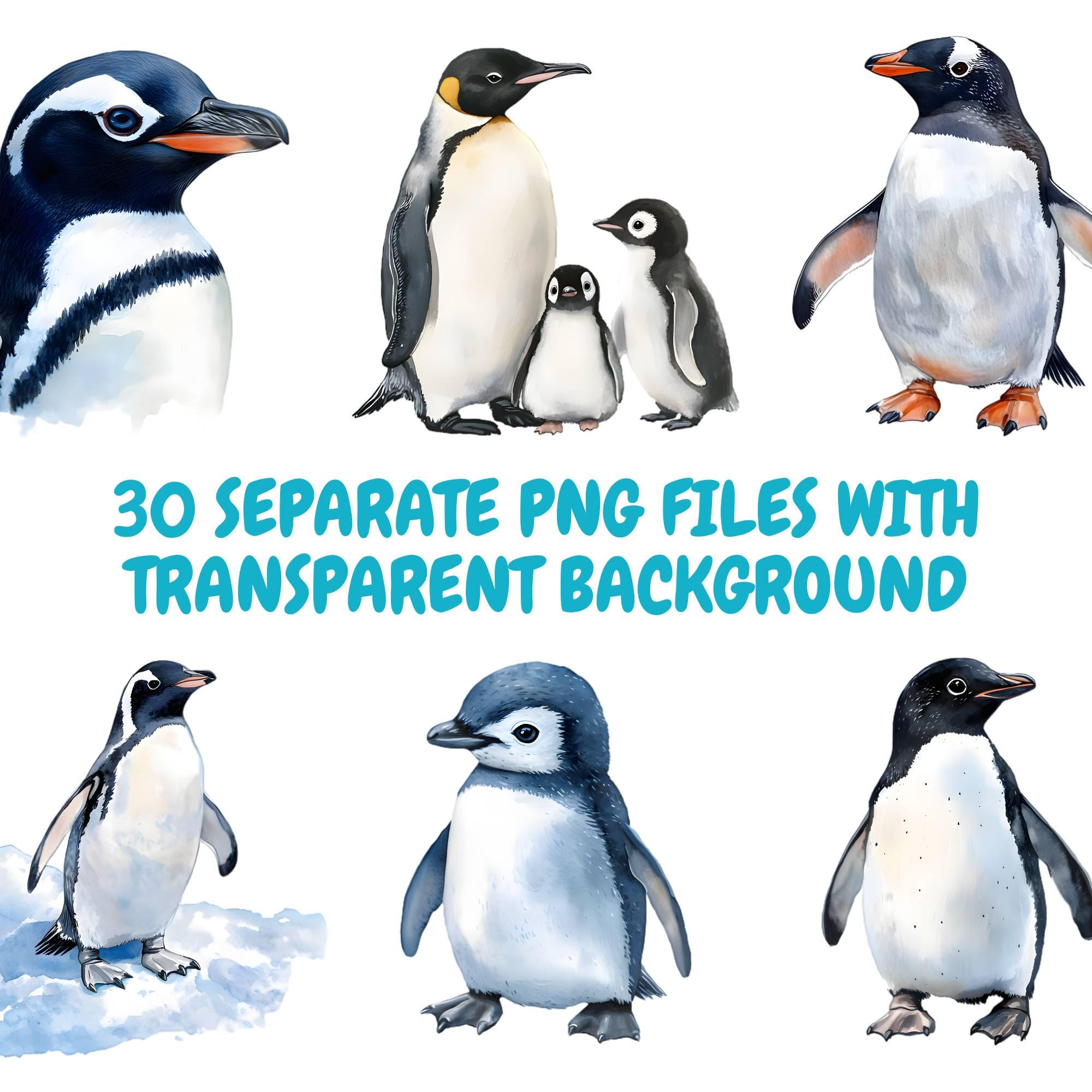 Watercolor Penguins Clipart Bundle, Winter Animals Clipart, Penguin ...