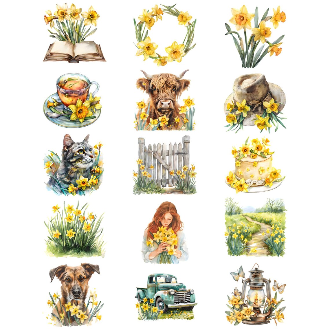 Watercolor Daffodils Clipart Bundle, Yellow Flower Clipart, Daffodil ...