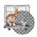 Watercolor Veterinary Clipart Bundle, Animal Hospital Clipart ...
