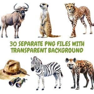 Watercolor Safari Clipart Bundle, Jungle Animals Clipart, Safari ...