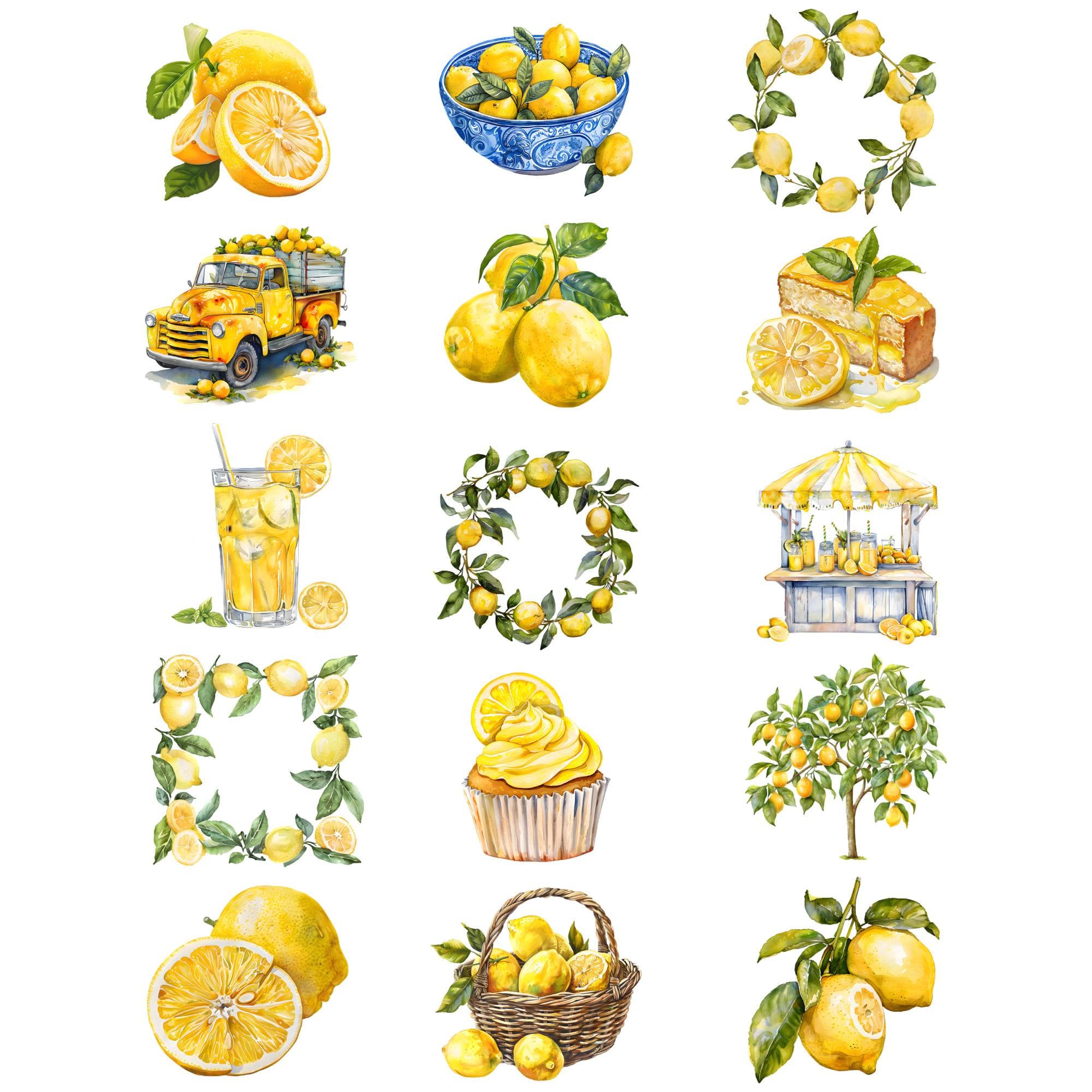 Watercolor Lemon Clipart Bundle, Lemon Branch Clipart, Lemonade ...