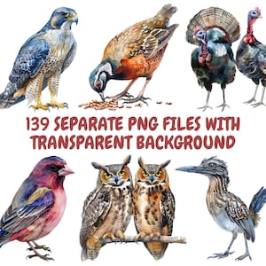 Watercolor Birds Clipart Bundle, Bird Species Clipart, Bird ...