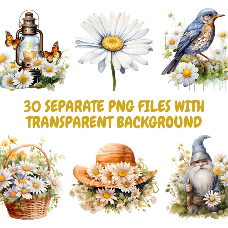 Watercolor Daisy Flowers Clipart Bundle, Daisy Bouquet Clipart, Spring ...