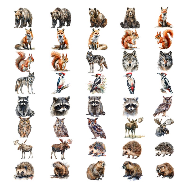 Watercolor Woodland Animals Clipart Bundle, Forest Animals Clipart ...
