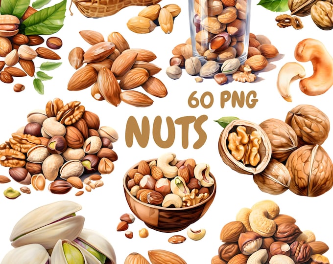 Nuts Clipart, Food Clipart, Watercolor Clipart, Nut Watercolor ...