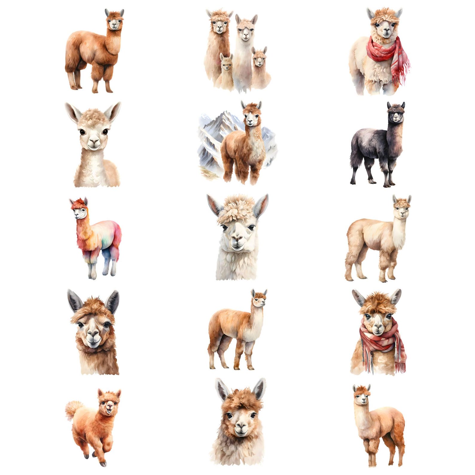 Watercolor Alpaca Clipart Bundle, Cute Llama Clipart, Alpaca ...