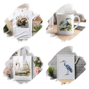 Watercolor Wetland Animals Clipart Bundle, Swamp Wildlife Clipart ...