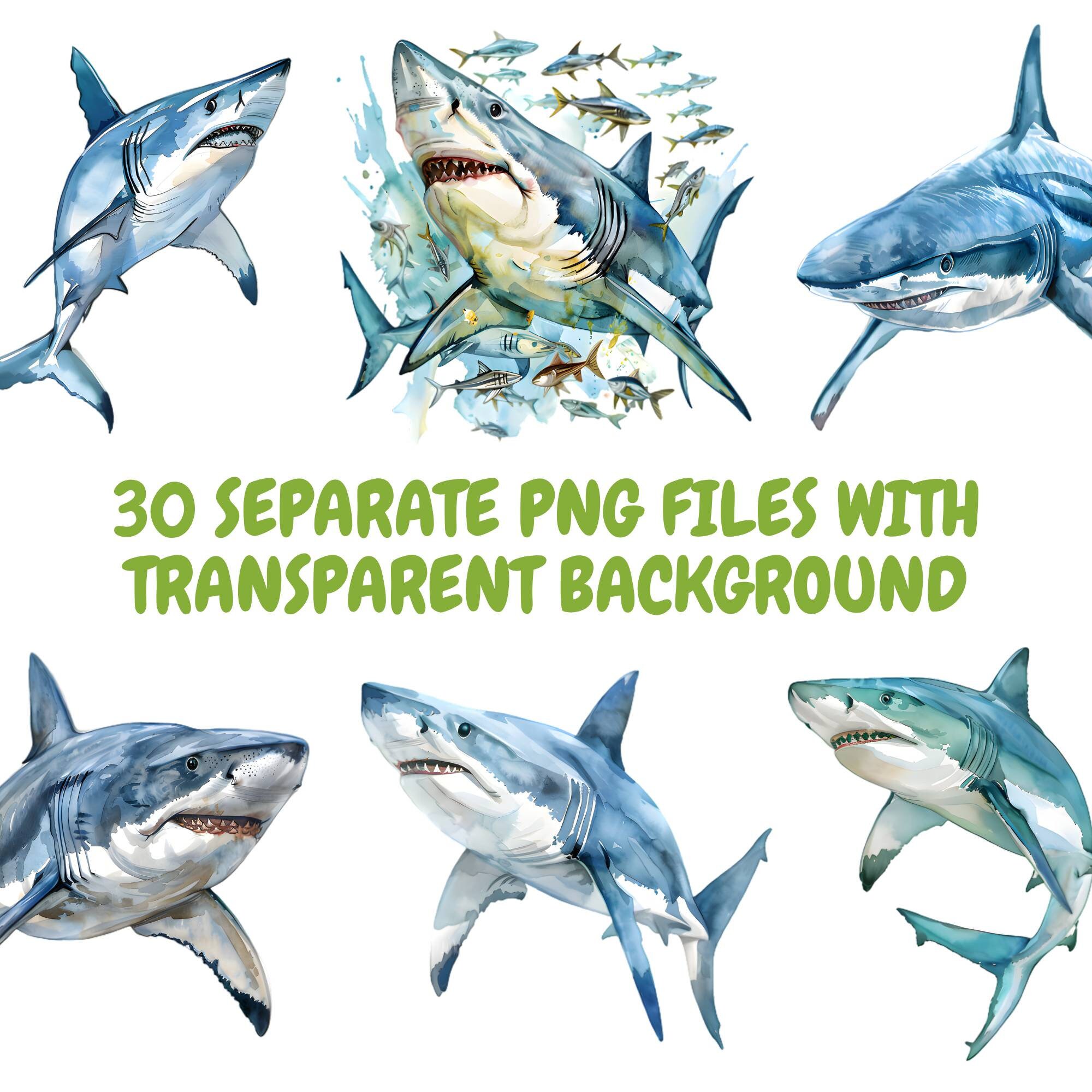 Watercolor Sharks Clipart Bundle, Sea Creatures Clipart, Shark ...